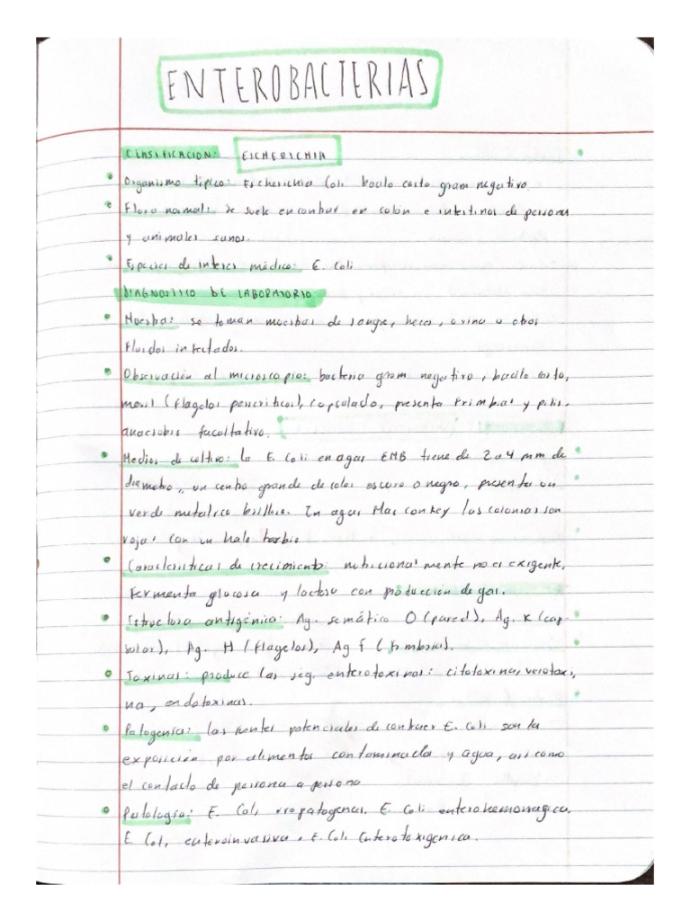 enterobacterias | PDF