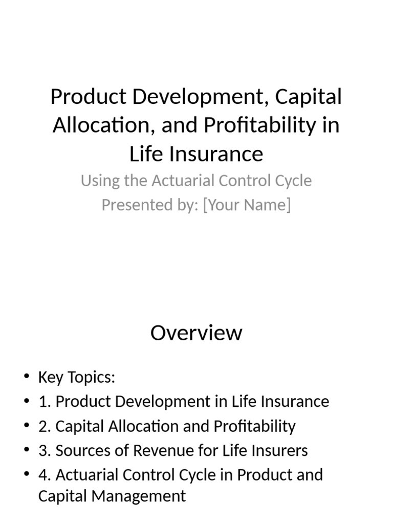 Product Development Capital Allocation | PDF