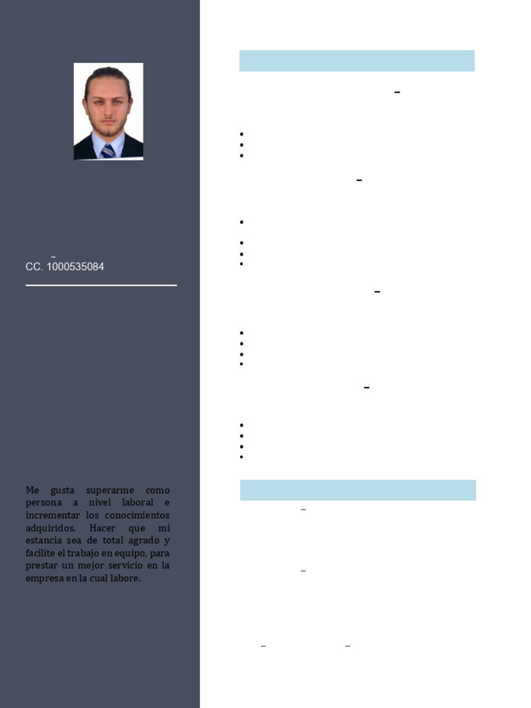 Hoja de Vida Javier Alejandro-2 | PDF