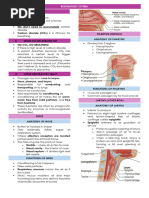 Respiratory System Study Guide | PDF | Exhalation | Respiratory Tract