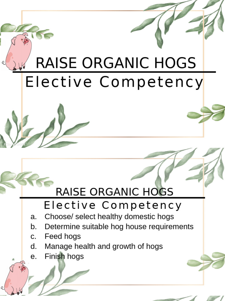 Raise Organic Hogs | PDF | Pig | Foods