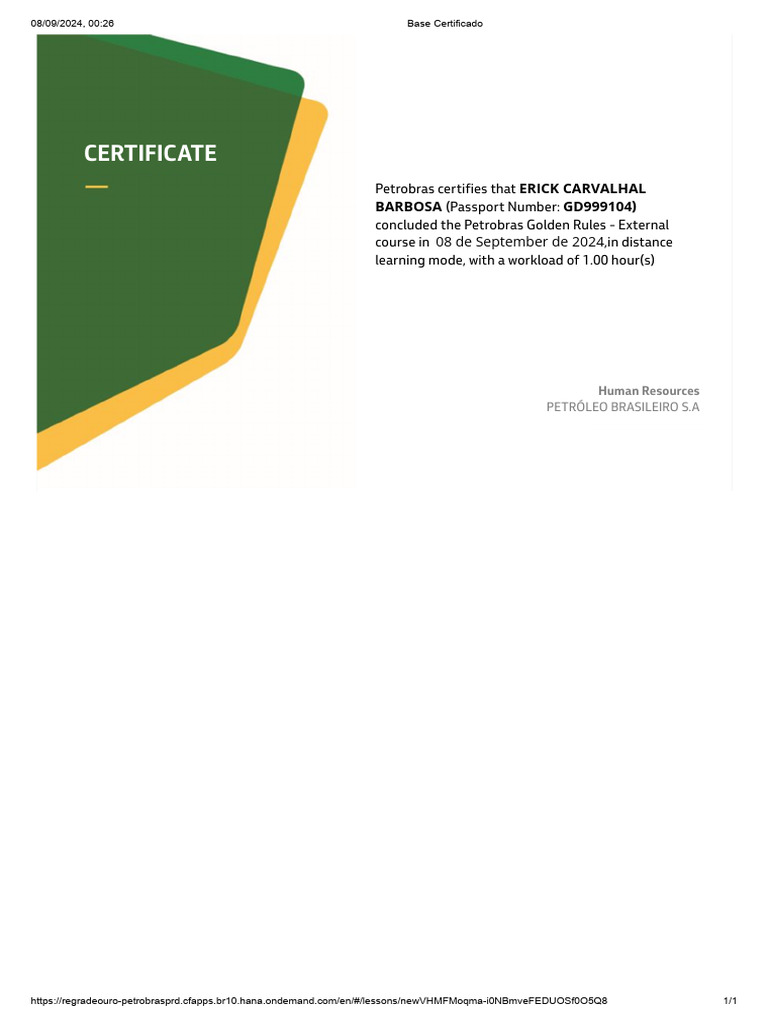 Closing - Petrobras Golden Rules - External ERICK CARVALHAL BARBOSA | PDF
