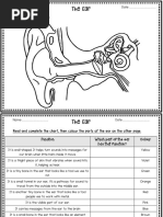 Label The Ear | PDF