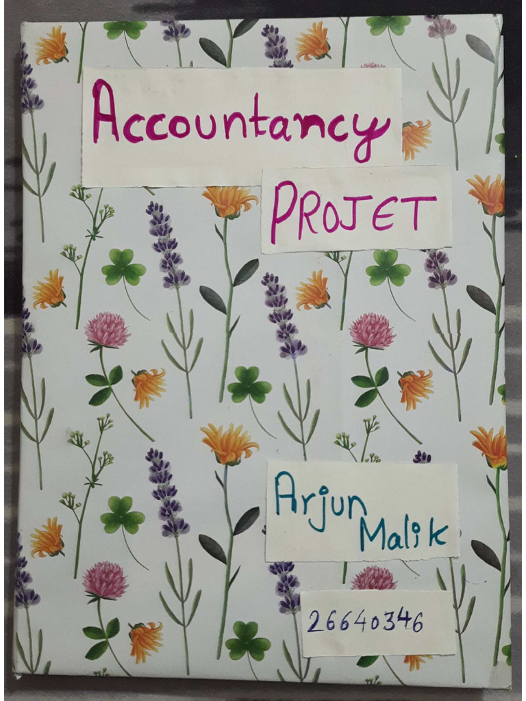 Accounts Project Class 12th Cbse | PDF