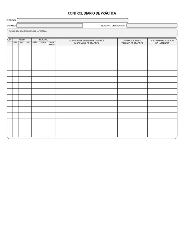 Control Diario de Practicas | PDF