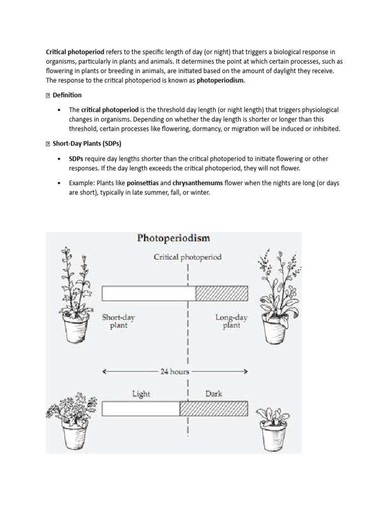 Critical Photoperiod Refers To The Specific Length of Day | PDF ...