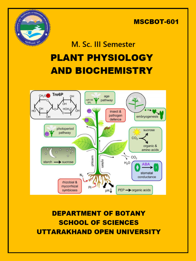 MSCBOT-601 | PDF | Osmosis | Properties Of Water