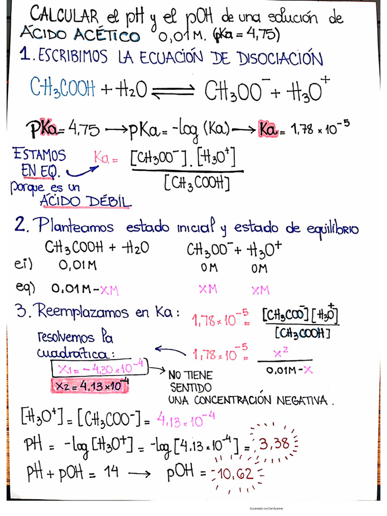 Ejercicio Resuelto - Equilibrio Ácido-Base II | PDF
