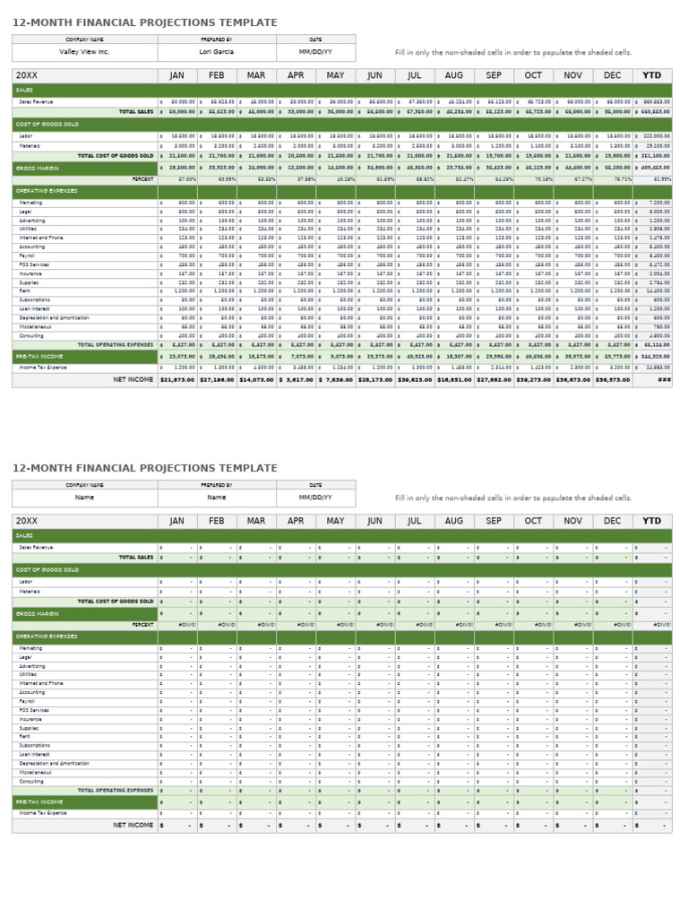 IC-12-Month-Financial-Projections-Example-Template | PDF