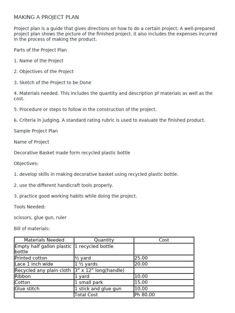 Making A Project Plan | PDF