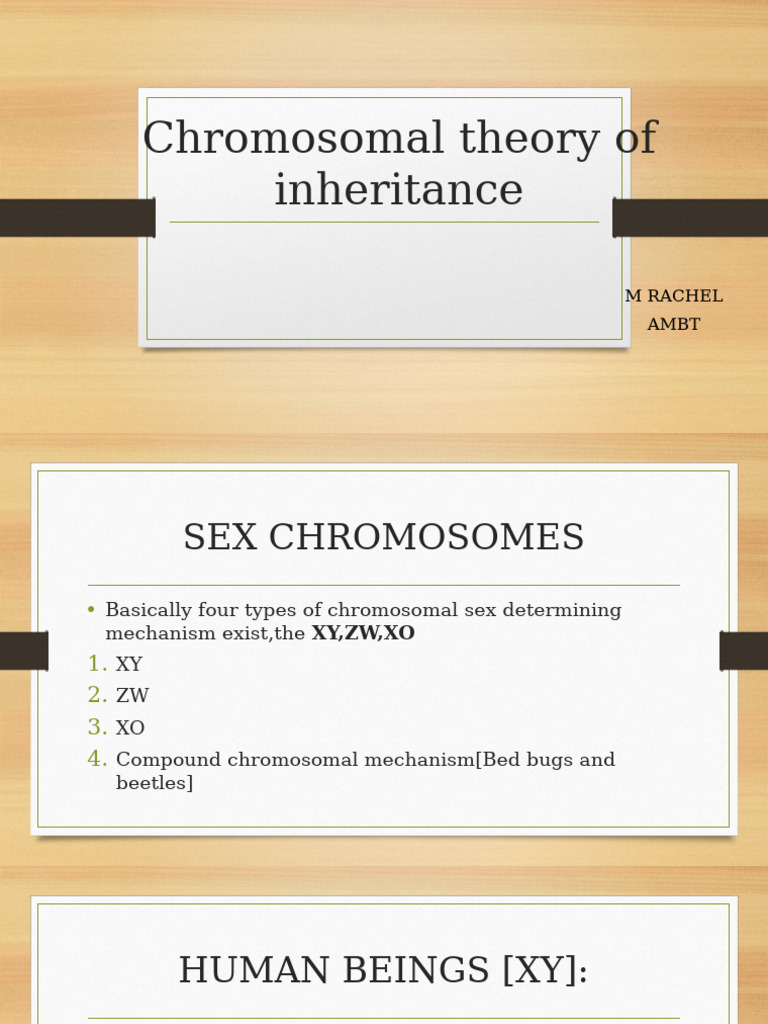 Chromosomal theory of inheritance | PDF | Dominance (Genetics) | Genotype