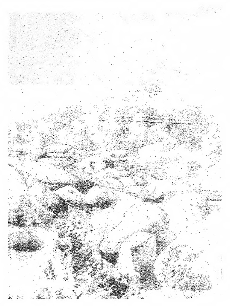 Karnataka Dad Eva Lay a Gal u | PDF