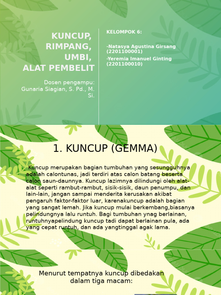 MORFOLOGI TUMBUHAN-kuncup, rimpang, umbi, alat pembelit | PDF