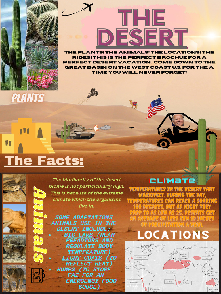 Desert Biome Vacation Guide | PDF
