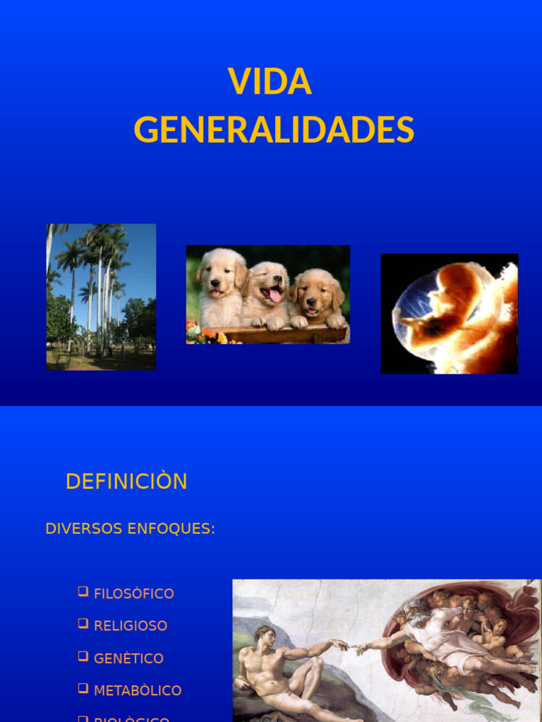 Definición y Características de la Vida | PDF | Biología Celular) | Vida