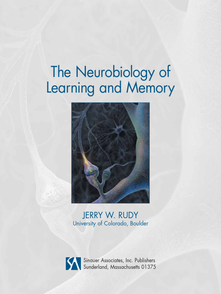 Neurobiology of Learning & Memory | PDF | Synaptic Plasticity | Long Term Potentiation