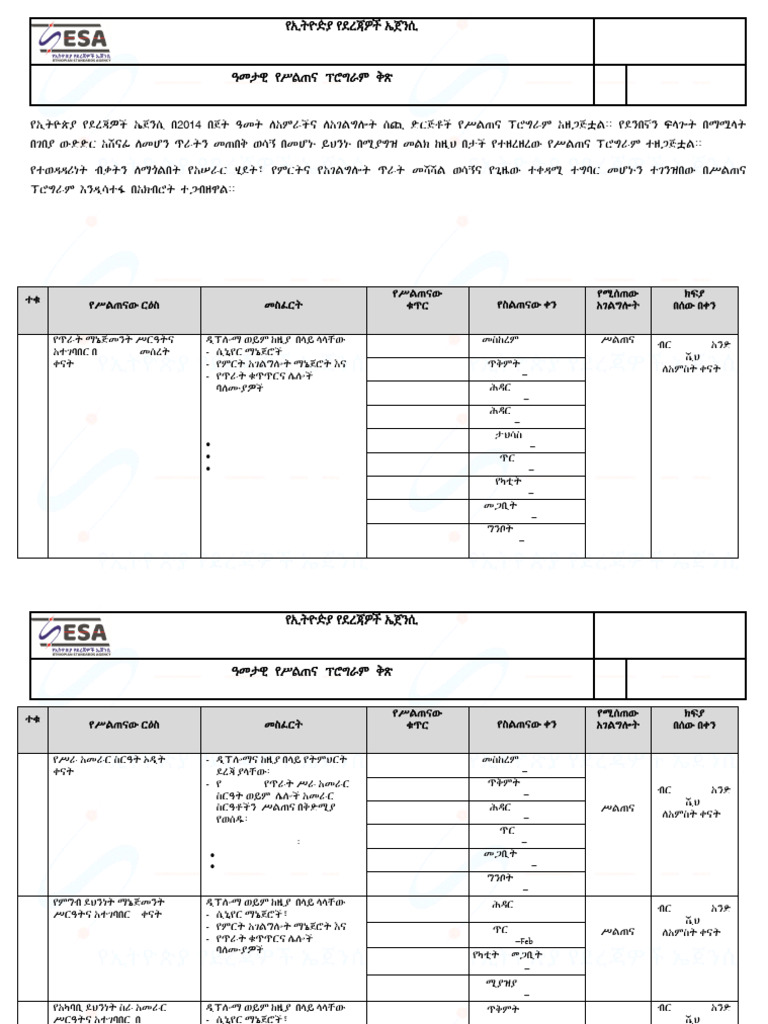 2014 E C Training Program Amharic and English-1 | PDF