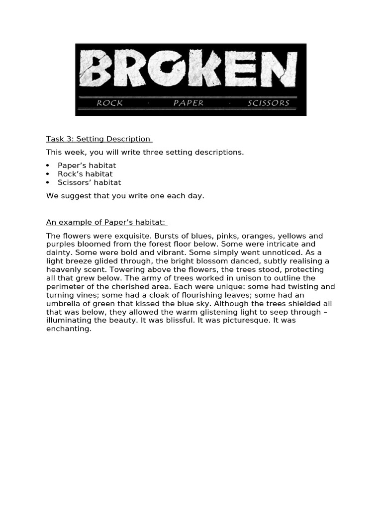 Broken Task 3 Setting Description | PDF