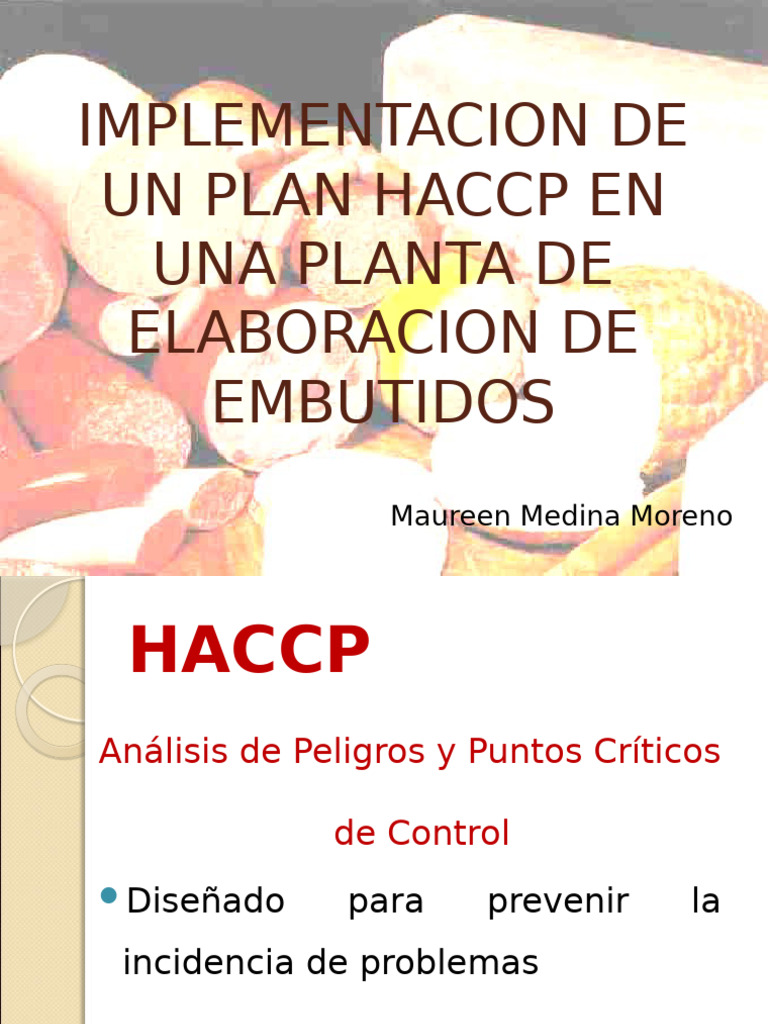 Implementacion de Un Plan Haccp en Una Planta | PDF | Análisis de Riesgo y Puntos Críticos de ...