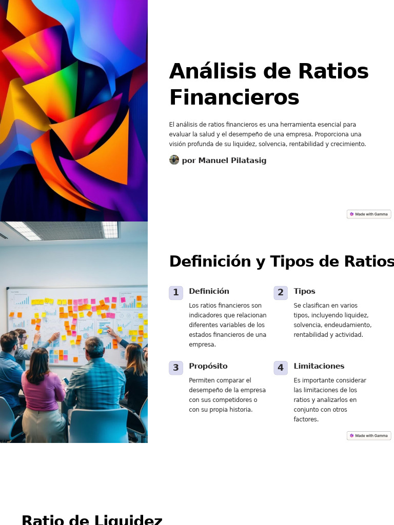 Análisis de Ratios Financieros Esenciales | PDF | Liquidez de mercado ...