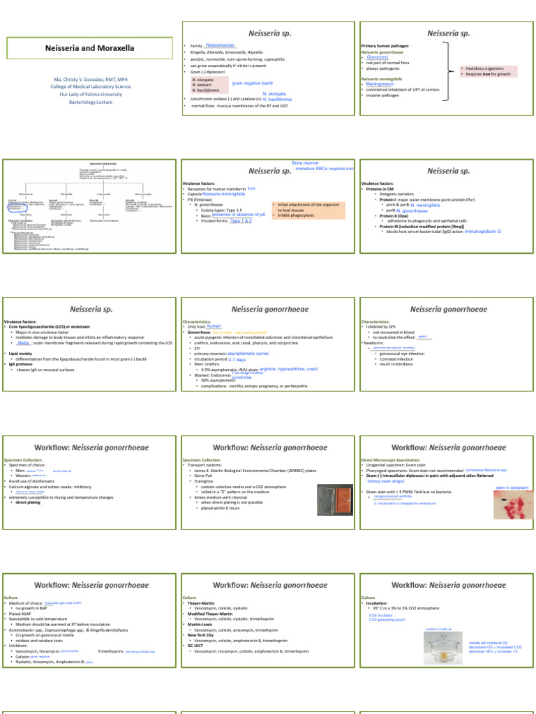 BACT Lecture. Neisseriaceae & Moraxella | PDF | Microbiology | Medical Specialties