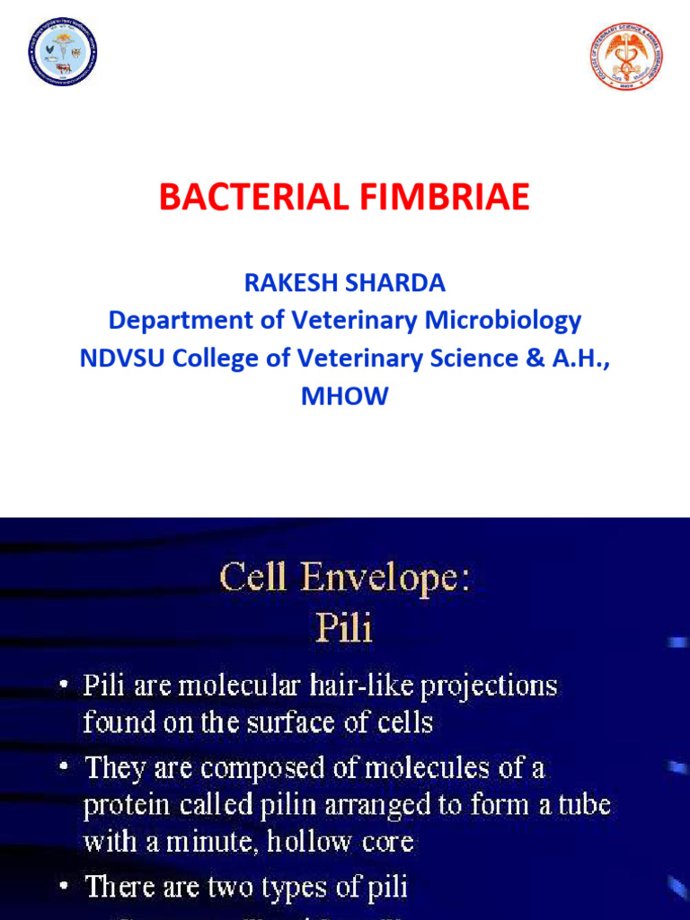 Functions of Bacterial Fimbriae | PDF