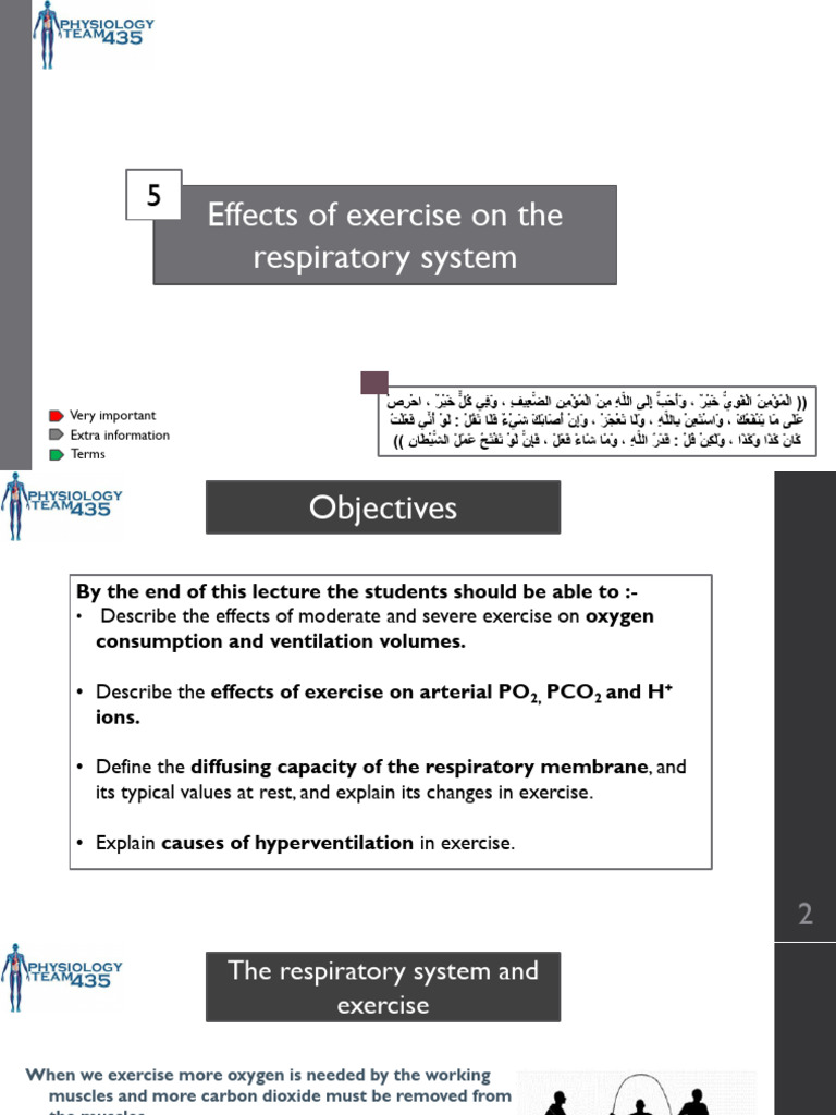 5- Effects of Exercise on the Respiratory System | PDF | Respiratory ...