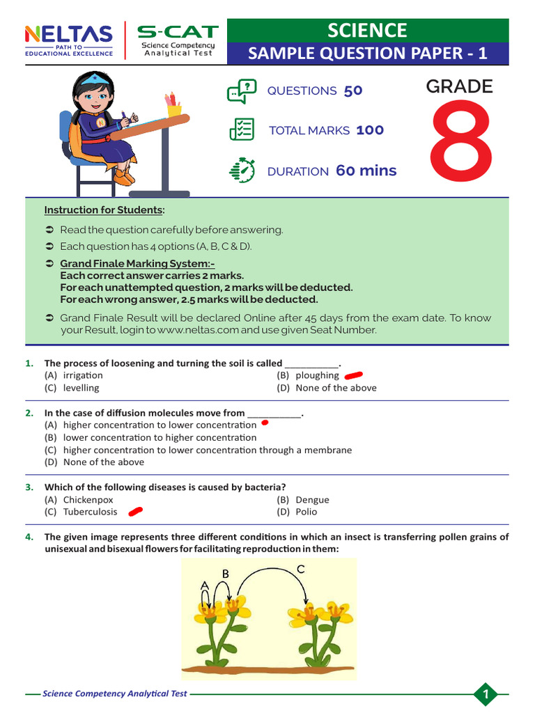 STD 8 Sample Question Paper | PDF | Oxide | Atoms