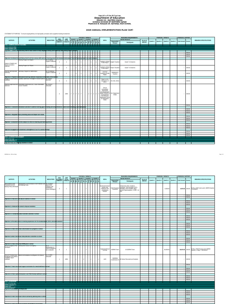 Annual Implementation Plan 2024 | PDF | Literacy | Learning