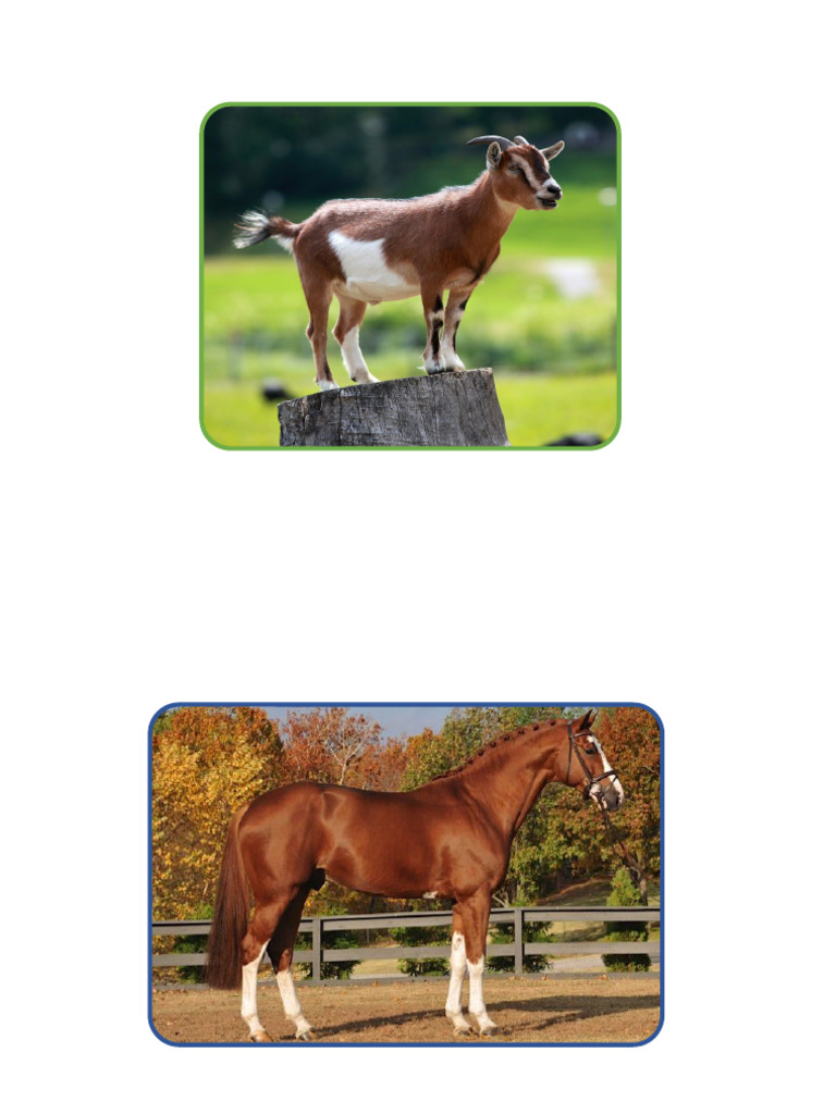 Sentra Bahan Alam | PDF