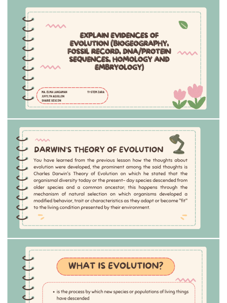 EXPLAIN-EVIDENCES-OF-EVOLUTION_202411260856_40814 | PDF | Evolution ...