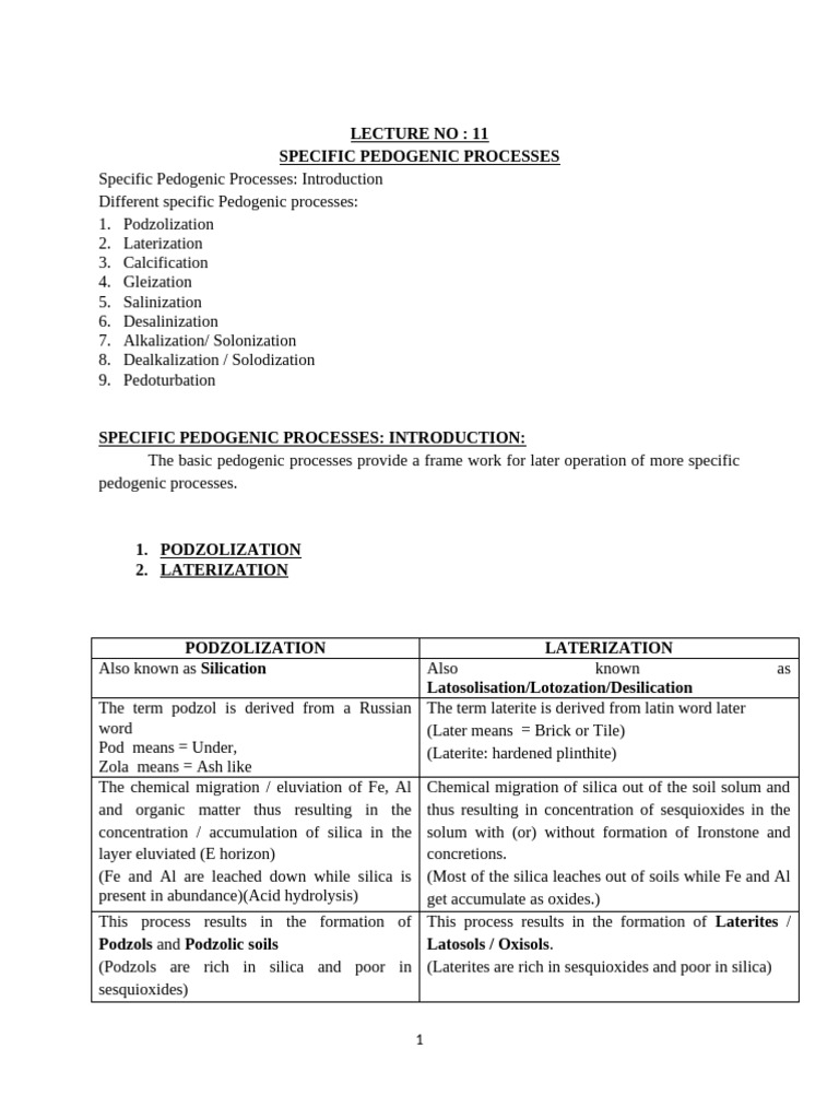 Specific Pedogenic Processes Guide | PDF | Soil | Physical Geography