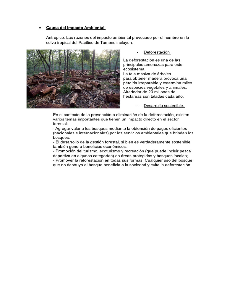 Redaccion Final Medio Ambiente | PDF