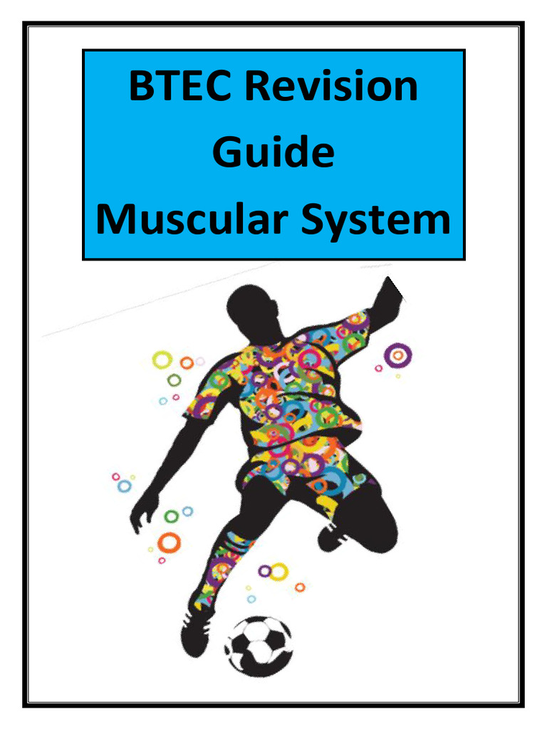 BTEC Muscular System Revision Guide | PDF | Human Leg | Anatomical ...