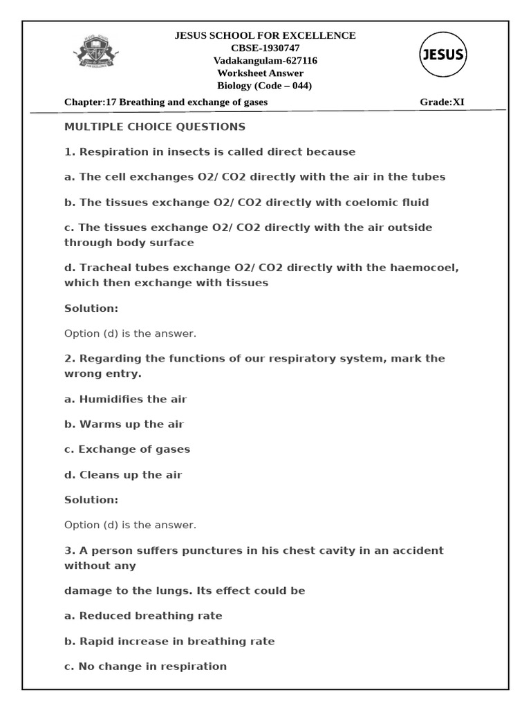 Grade XI Biology: Breathing MCQs | PDF | Lung | Respiratory System