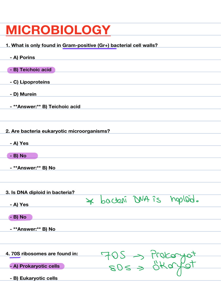 Microbiology-Midterm 202411202323 10688 | PDF | Rna | Dna