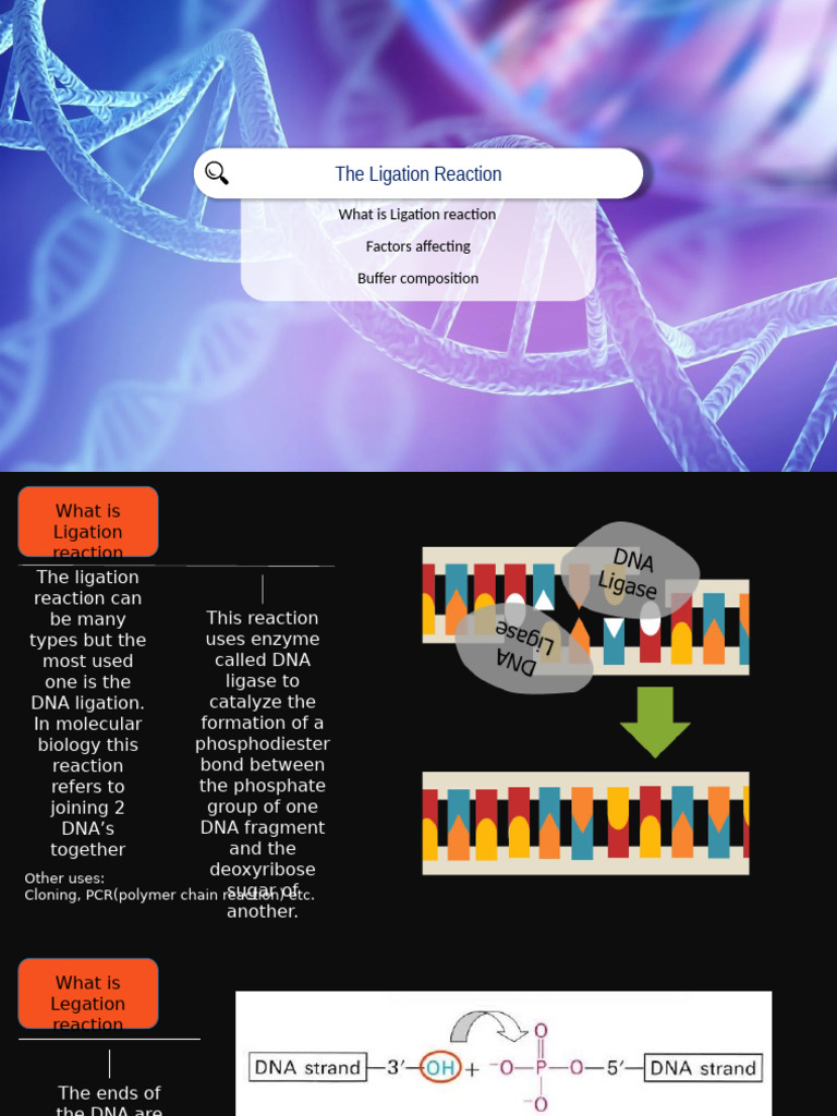 Ligation reaction | PDF | Dna Ligase | Biology