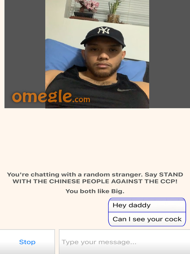 Omegle Talk To Strangers! | PDF