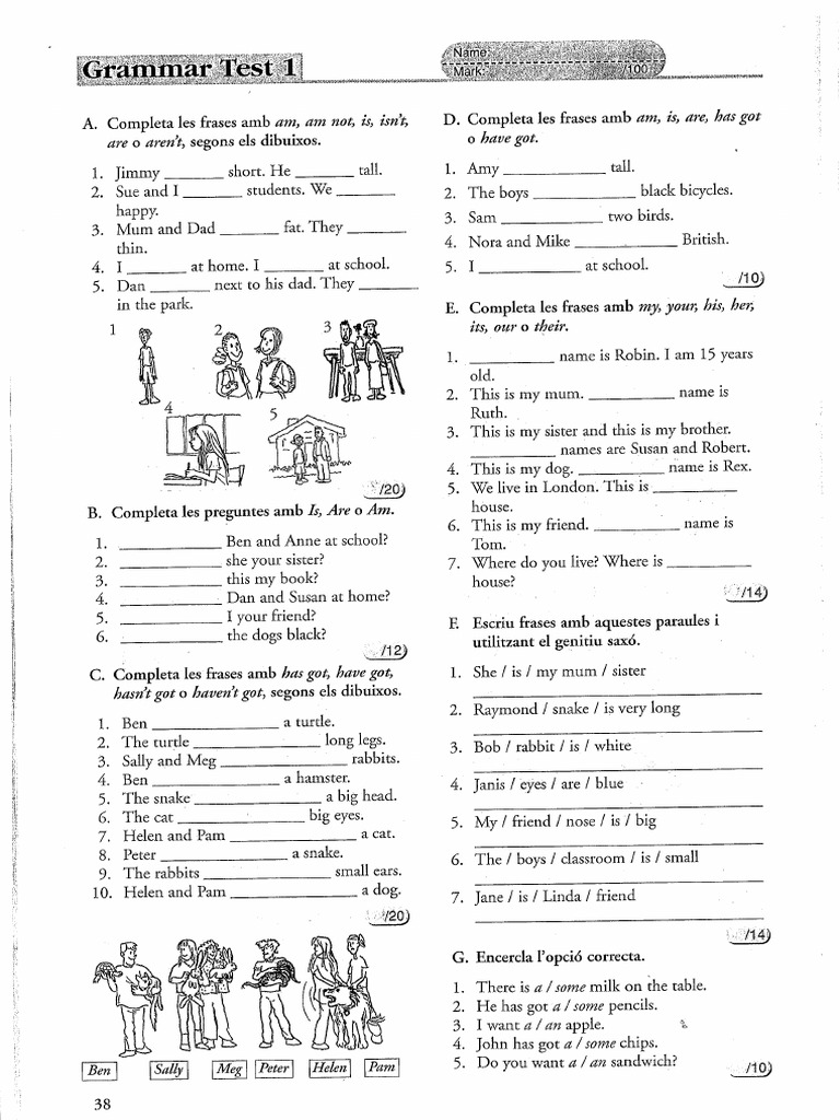 Dossier T1 Test | PDF