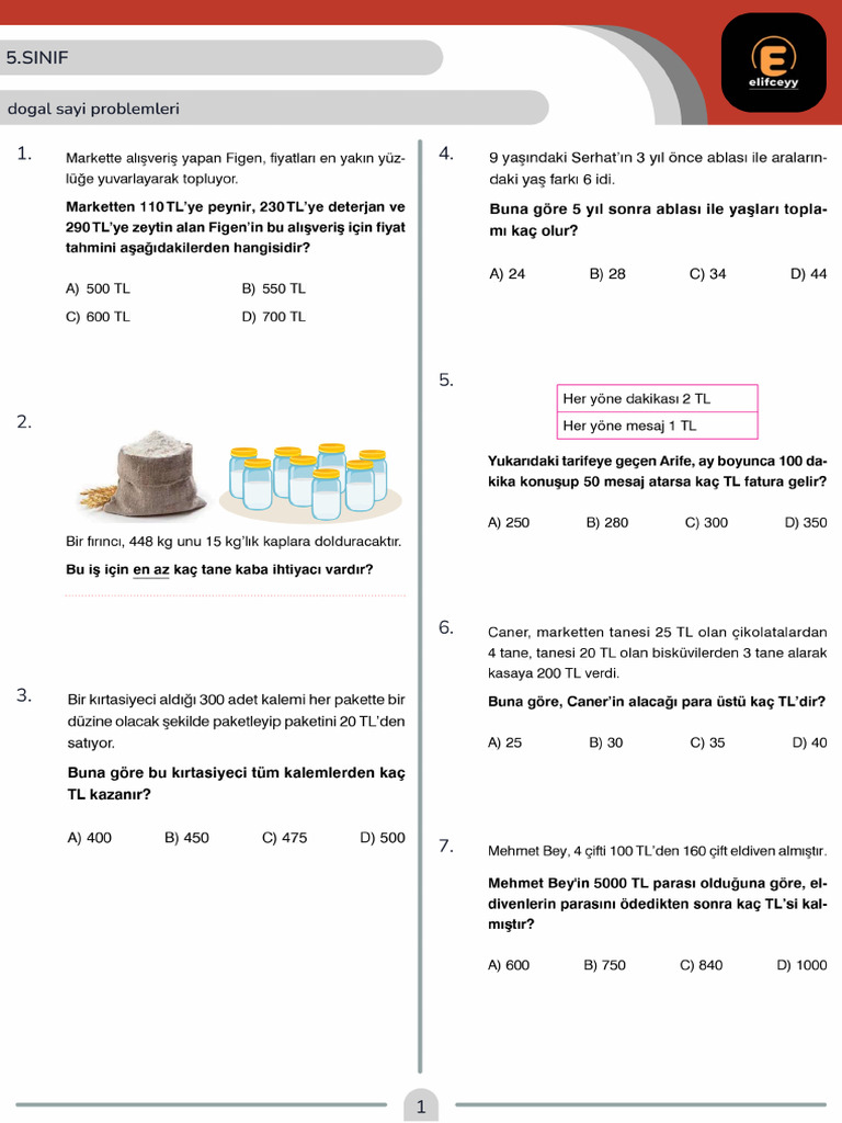 5.sinif Problemler | PDF