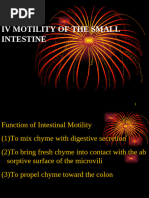 Understanding Haustrations in the Colon | PDF | Large Intestine | Organ ...