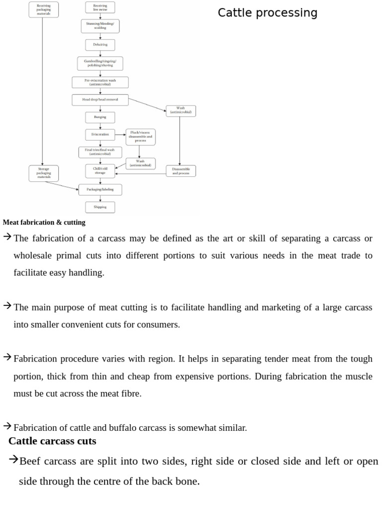 Meat Fabrication for Butchers | PDF | Meat | Musculoskeletal System