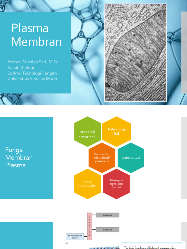 Membran Plasma | PDF