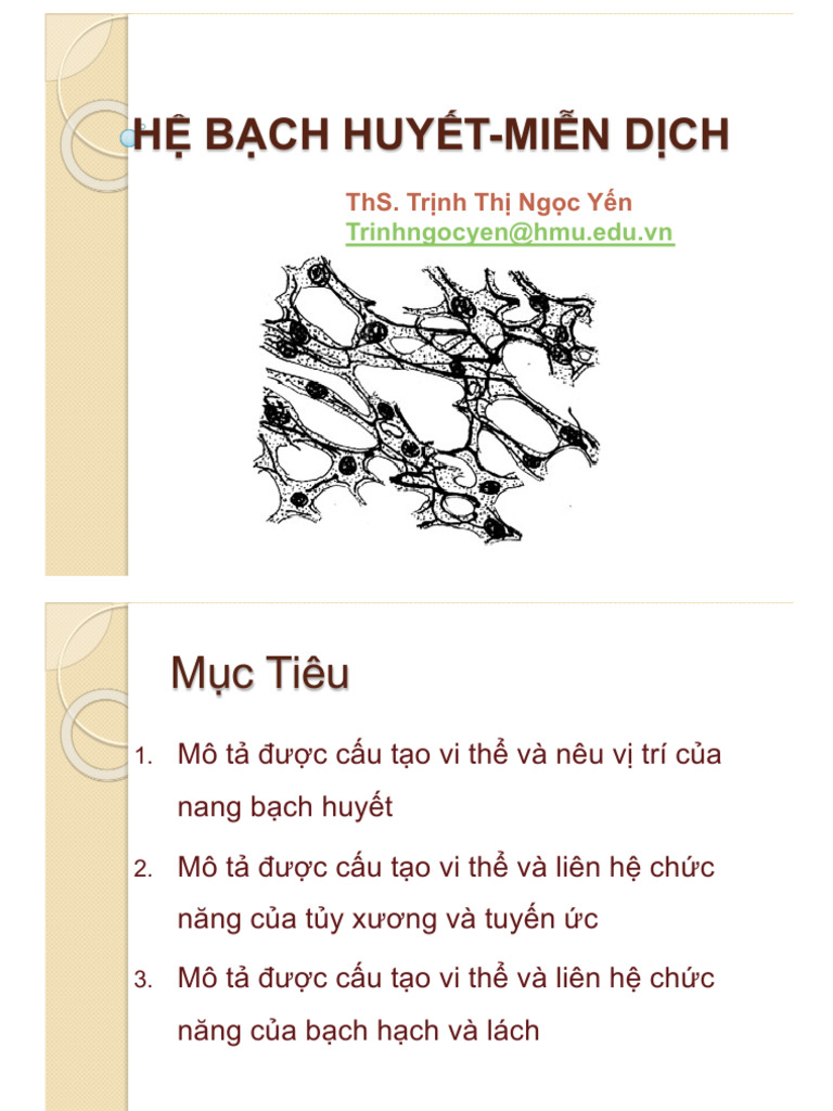 S2.3. LEC7 Hệ Bạch Huyết-Miễn Dịch | PDF