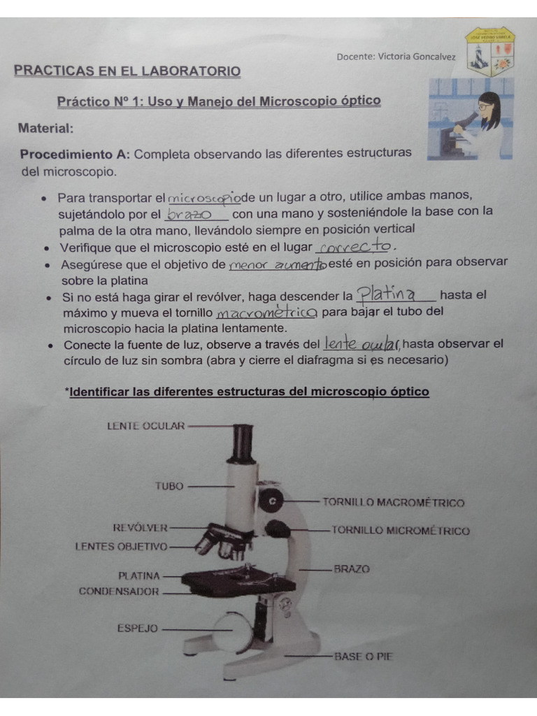 Práctico N°1 | PDF