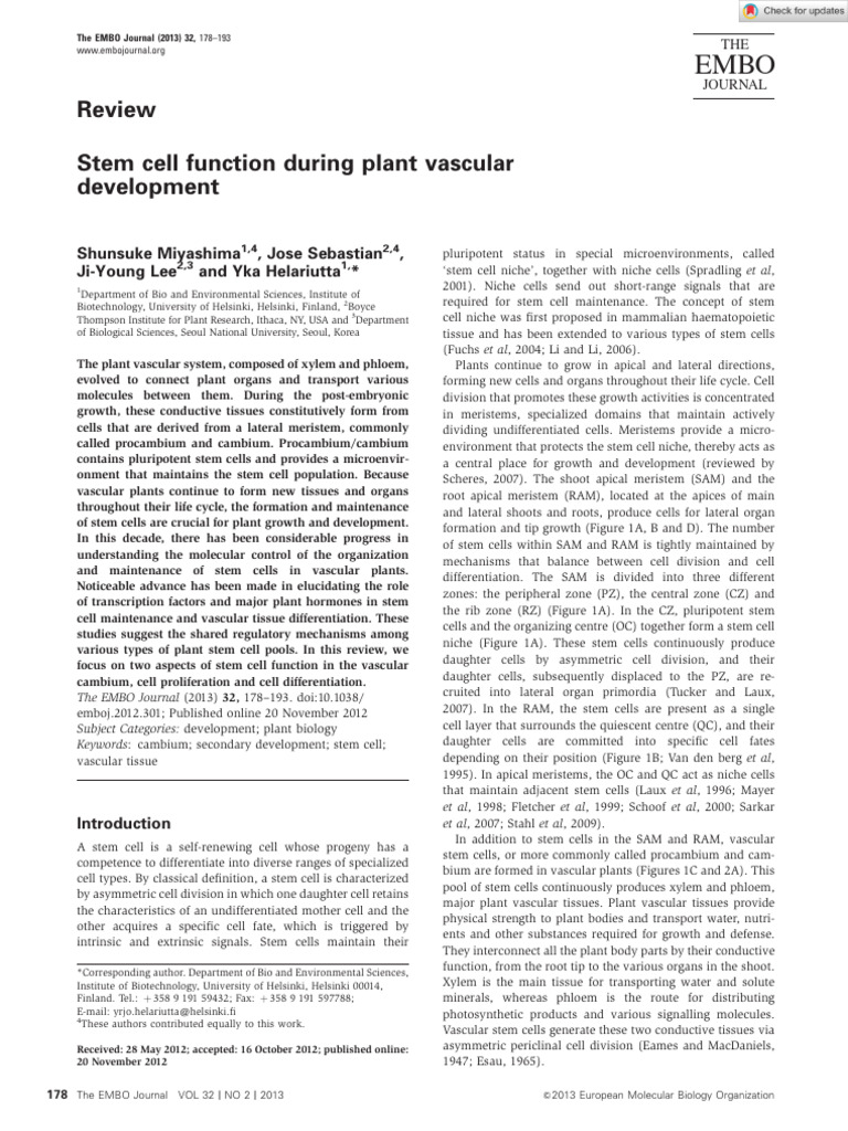Miyashima Et Al 2012 Stem Cell Function During Plant Vascular ...