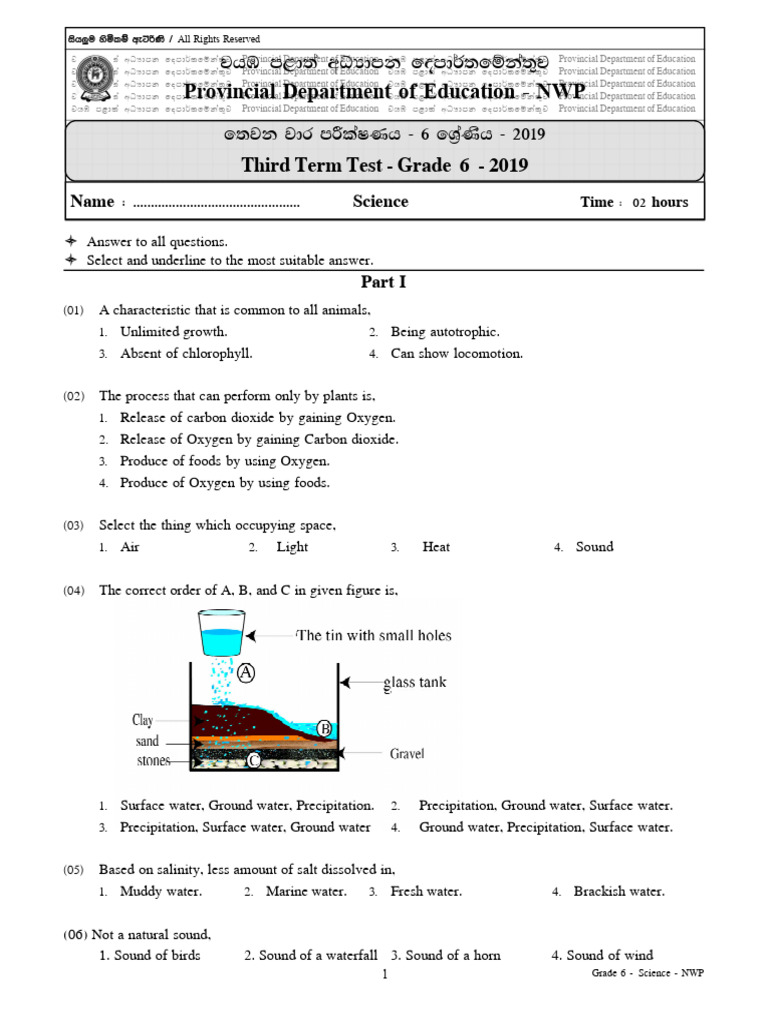 Grade 6 Science 3rd Term Test Papers | PDF