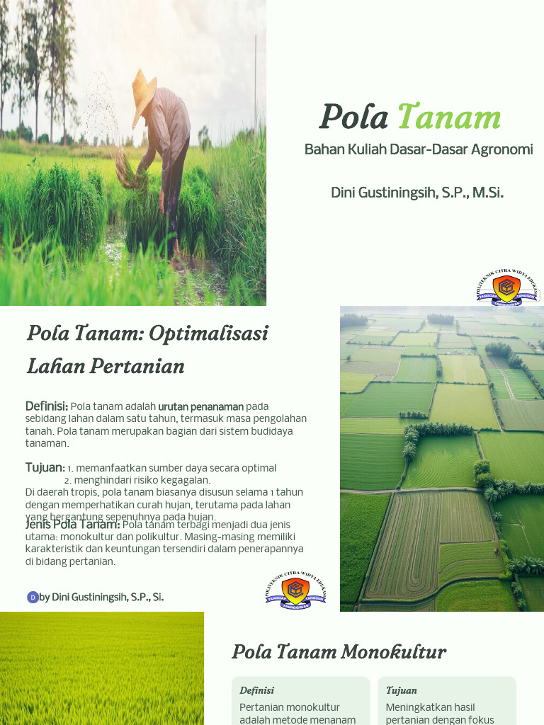 Pola Tanam Optimalisasi Lahan PertanianOK | PDF