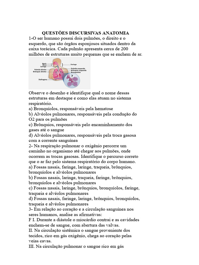 QUESTÕES DISCURSIVAS ANATOMIA Sem Resposta 2 | PDF | Pulmão | Sistema respiratório