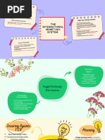 1000-Piso Polymer Banknote - Information Sheet | PDF | Currency